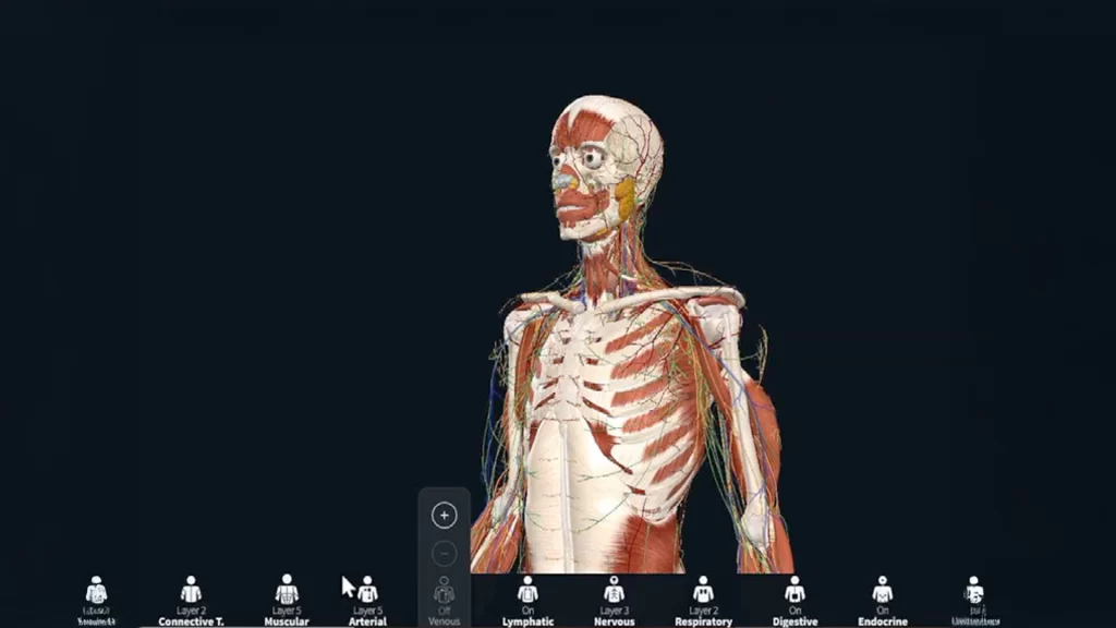 SIT Anatomy - Sit Health